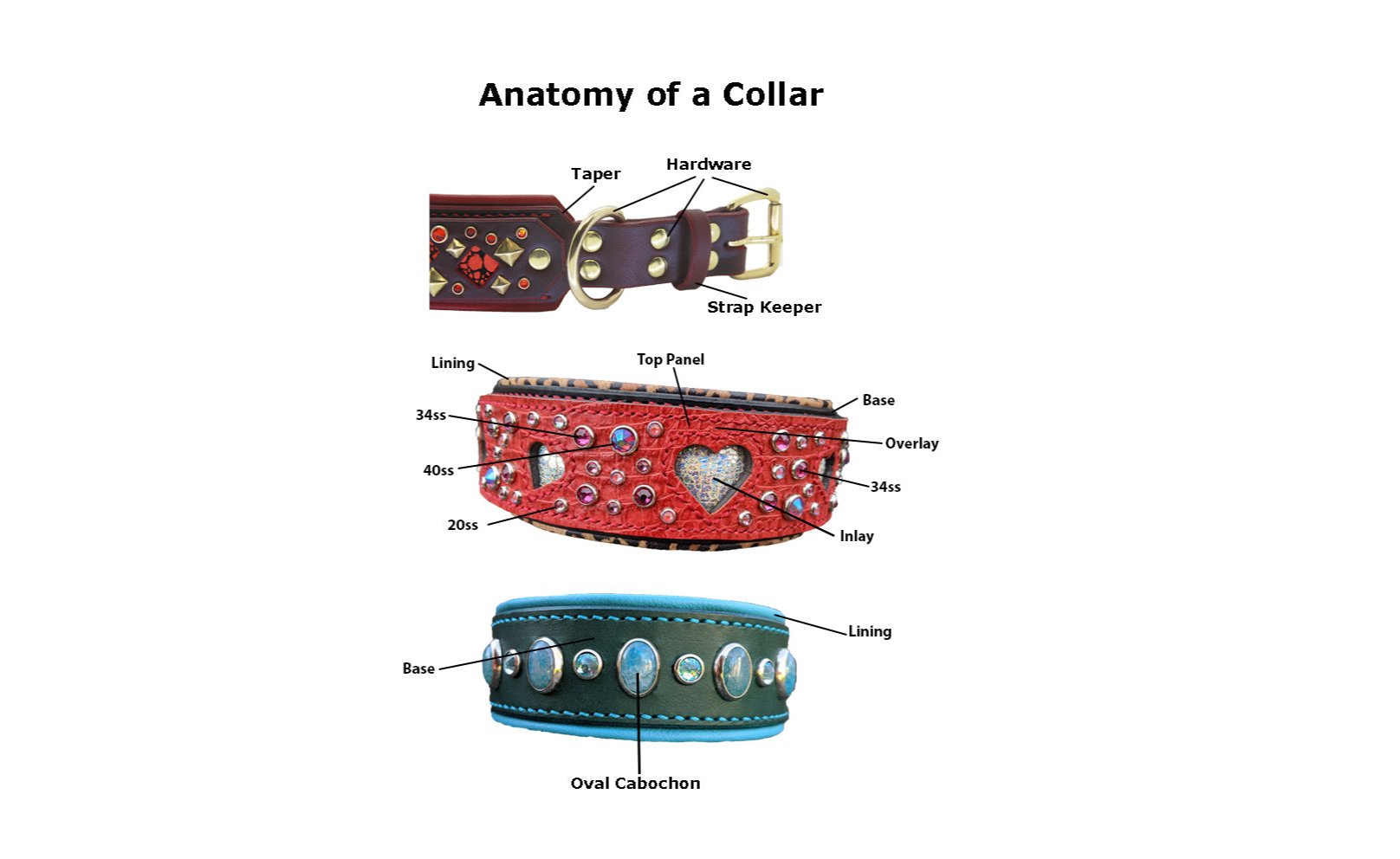 Anatomy of a Collar – Classy Collar Co